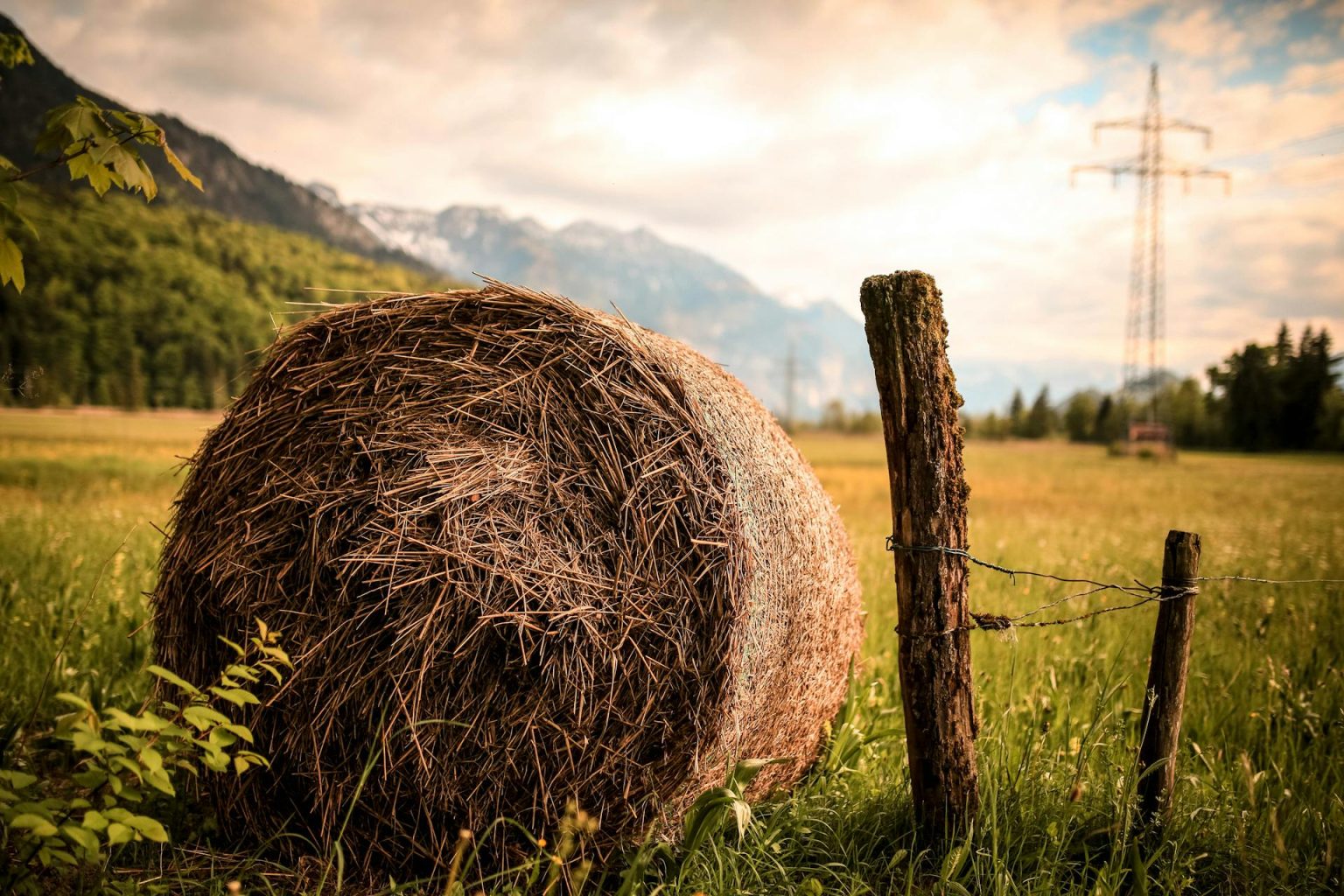 Straw Bale. Ekologiczne budownictwo ze słomy - historia, zastosowanie i ...